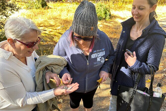The Evolution of Yosemite 3 Hour Walking Tour - Final Thoughts