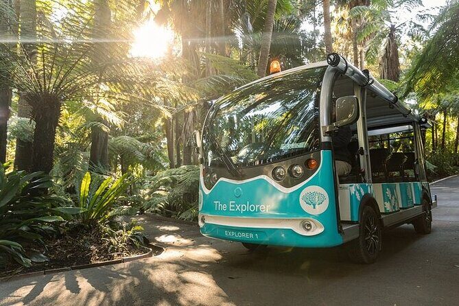 The Explorer - Melbourne Gardens - The Details: What to Expect
