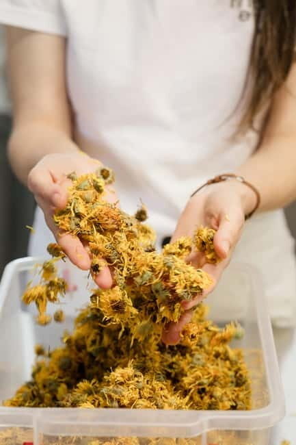 The flavours of Greece Tasting: Spot on the map and discover - What to Expect From the Group
