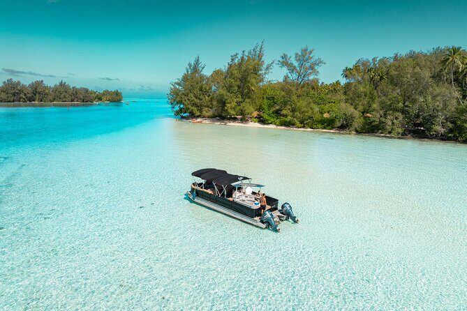 The Floating Bar Moorea - VIP Private Boat Tour - Visiting the Marine Habitat