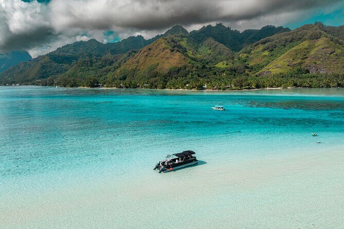 The Floating Bar Moorea - VIP Private Boat Tour - What Past Travelers Say
