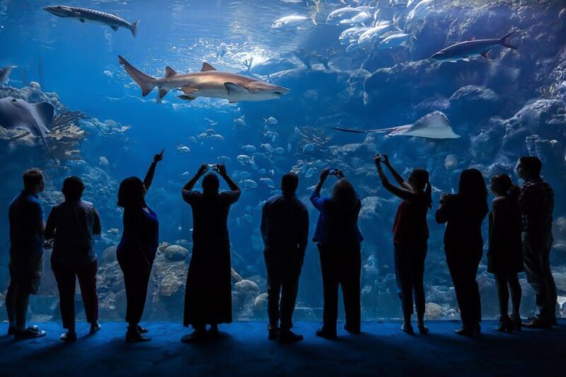 The Florida Aquarium Ticket - Practical Tips for Your Visit