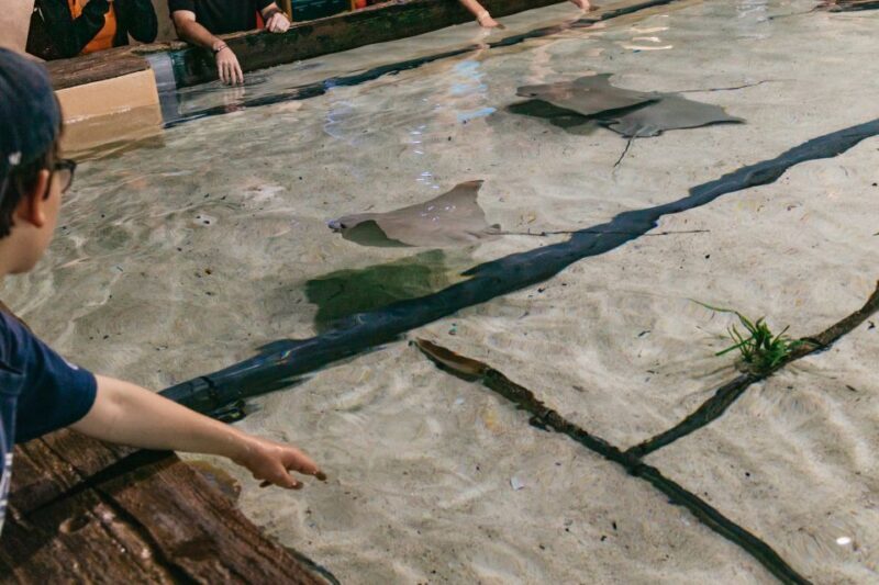 The Florida Aquarium Ticket - Who Will Love This Experience?