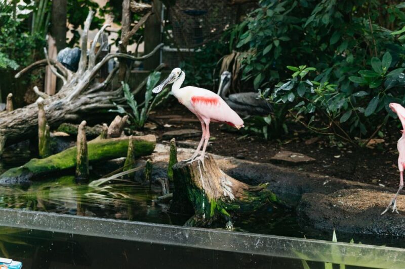 The Florida Aquarium Ticket - FAQ: Your Questions Answered