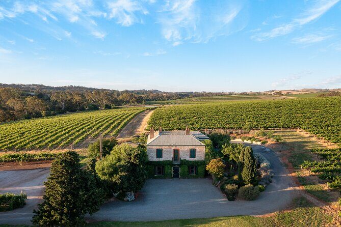 The Florita Wine Tasting Experience - An In-Depth Look at The Florita Wine Tasting Experience