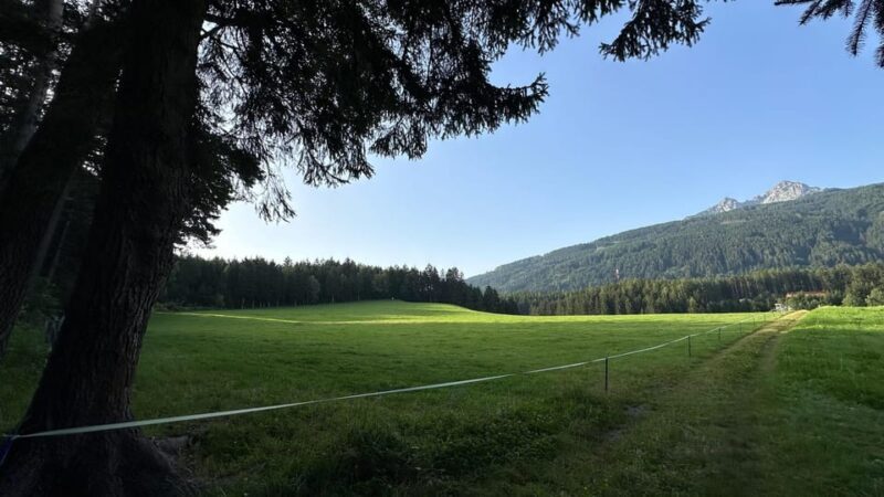 The forest as an Escape Room for the whole family - Who Will Appreciate This Tour?