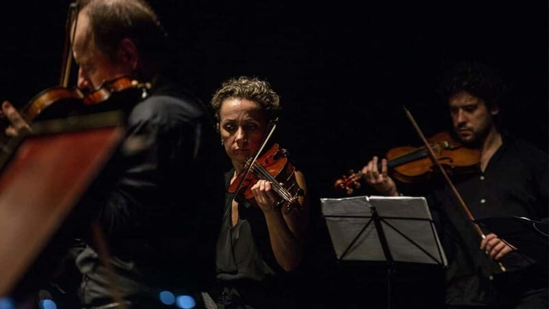 "The Four Seasons" by Vivaldi in Padua - Final Thoughts: Why This Concert Is Worth Your Time