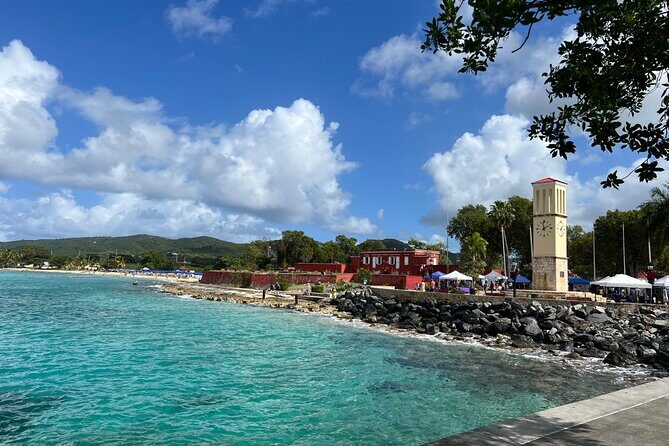 The Frederiksted St. Croix Sea Turtles Snorkeling Tour - What About the Reviews?