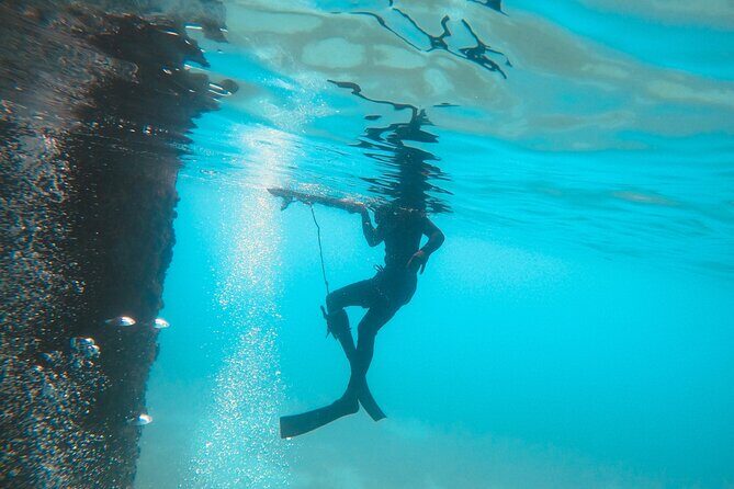 The Frederiksted St. Croix Sea Turtles Snorkeling Tour - Practical Tips for Participants