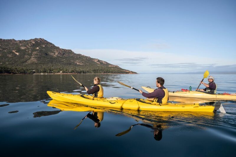 The Freycinet Paddle Kayak Tour - An In-Depth Look at the Experience