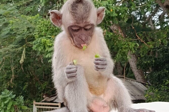 The GAD Uluwatu Tour - Who Will Love This Tour?