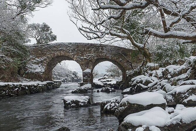 The Gap of Dunloe - Day Trip (One Way Only) - Authentic Experiences & User Feedback