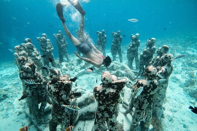 The Gili Mushroom Tour - Who Should Consider This Tour?