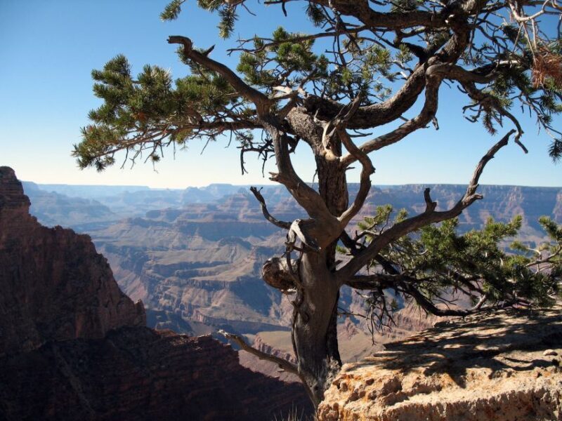 The Grand Canyon Classic Tour From Sedona, AZ - What’s Included and What to Expect