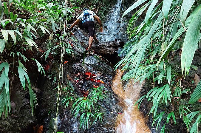 The Grand Circle 24-Hour All-Inclusive Island Experience - Inside the Tour: A Deep Dive into the Itinerary