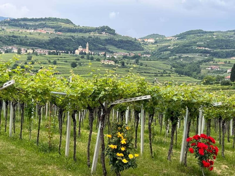 The grand tour of Amarone: 2 wineries, lunch & Amarone focus - Who Will Love This Tour?