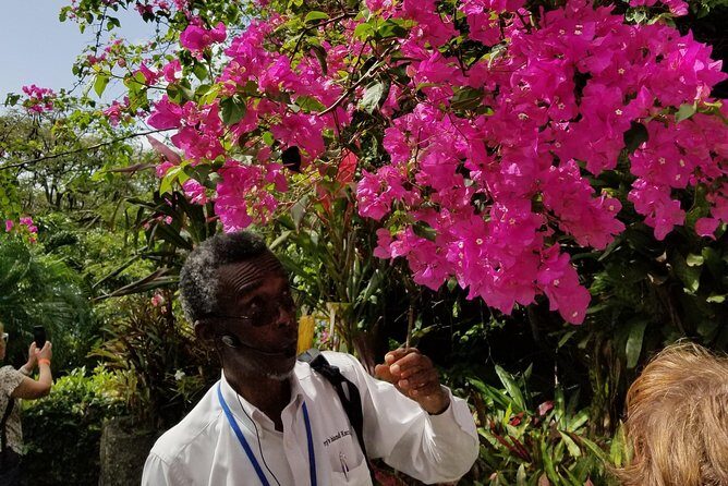 The Grand Tour of St. Kitts - What to Expect From the Itinerary