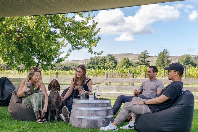 The Grape Vine - The Journey to the Wineries