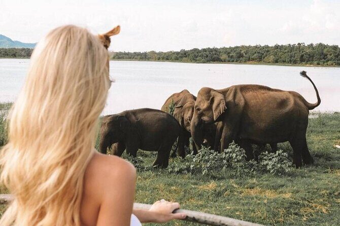 The Great Elephant Gathering Private Safari from Minneriya - FAQs