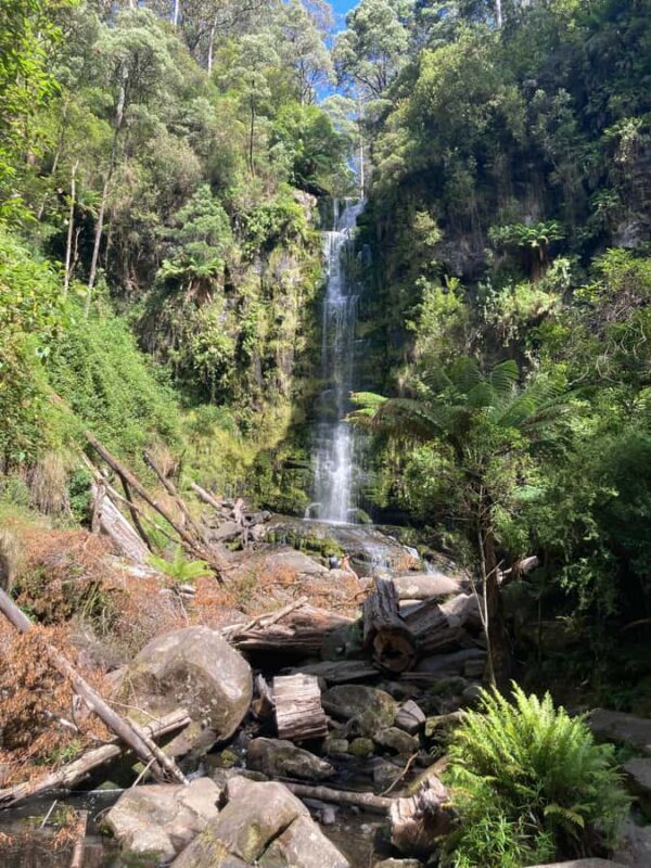 The Great Ocean Road Private Day Trip - Key Points