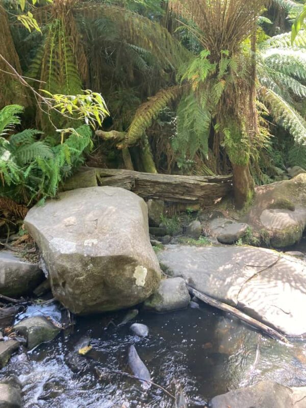 The Great Ocean Road Private Day Trip - The Sum Up: Is It Worth It?