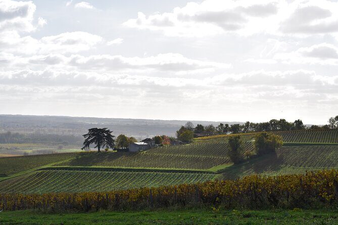 The Great Sauternes Wine Tour - The Sum Up: Is It Worth It?