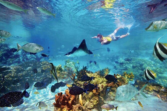 The great snorkeling adventure at the Riviera Maya private tour - FAQ