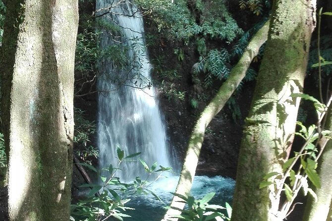 The Great waterfalls Hiking tour - What to Expect from the Tour