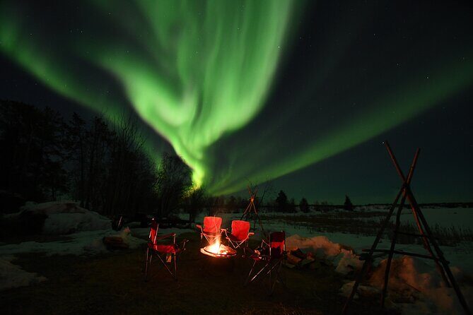 The Greatest Valuable Aurora Manor & Hunting Tour --Exclusive Tour Operator - The Itinerary: What to Expect