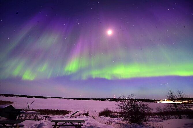 The Greatest Valuable Aurora Manor & Hunting Tour --Exclusive Tour Operator - Transportation and Logistics