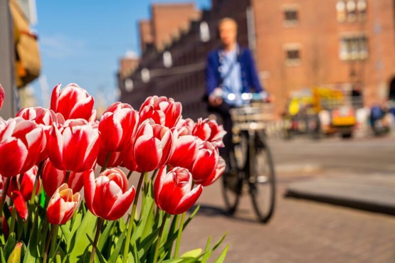 The Hague: Express Walk with a Local in 60 minutes - Why It’s a Good Deal