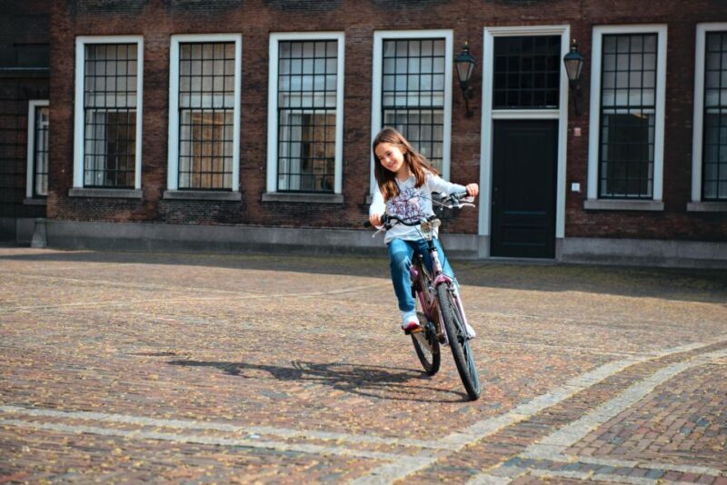 The Hague: Highlights Bike Tour - Architectural and Cultural Hotspots