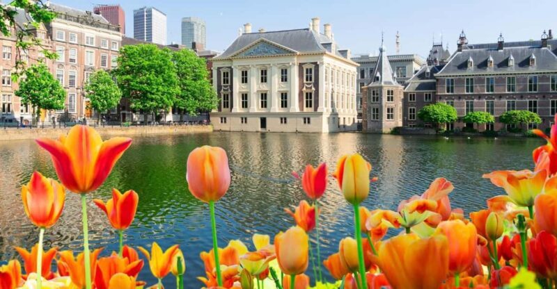 The Hague: Insta-Perfect Walk with a Local - The Sum Up