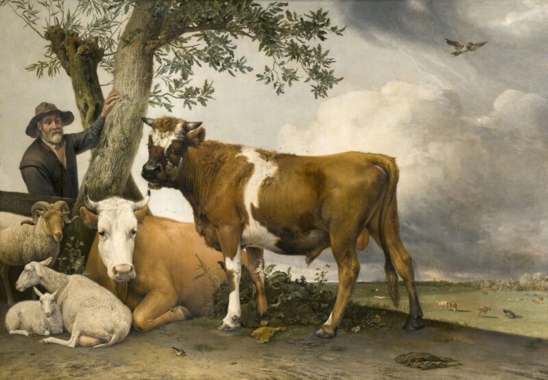 The Hague: Mauritshuis Entrance Ticket - FAQ - Your Practical Questions Answered