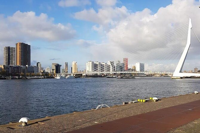 The Hague & Rotterdam: Past and Future Tour - An In-Depth Look at the Tour