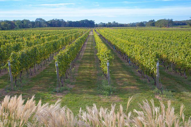 The Hamptons and Long Island Wineries Private Tour - A Day Out of Manhattan: What to Expect