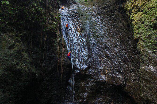 The Hidden Gorgeous Canyoning | Aling Canyon - An Honest Look at Bali’s Hidden Canyoning Adventure