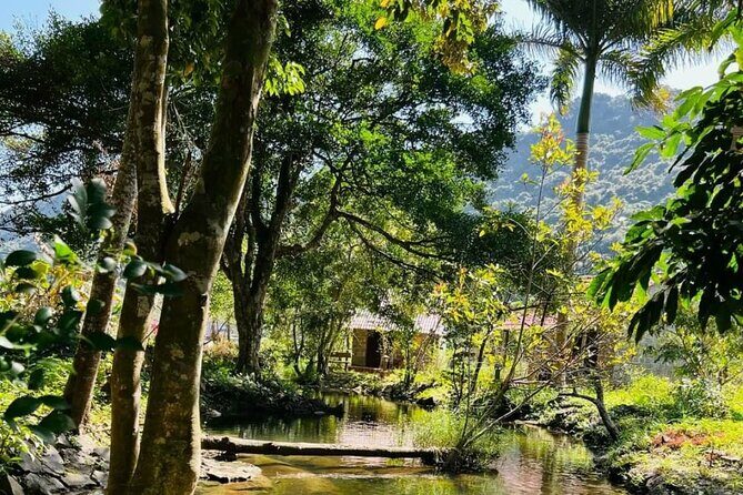 The Hidden Trails of Cat Ba - Why This Tour Excels