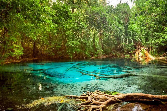 The Highlights Of Krabi - Real Voices from Past Travelers