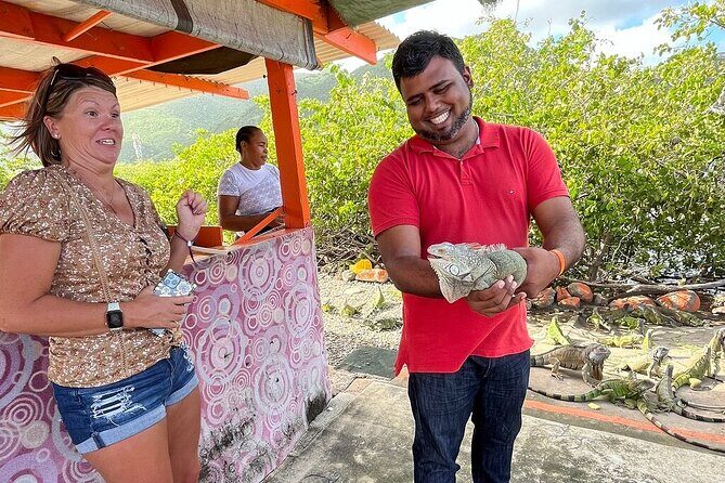 The Highlights of St Maarten Full-Day Private Vip Island Tour - Who Should Consider This Tour?