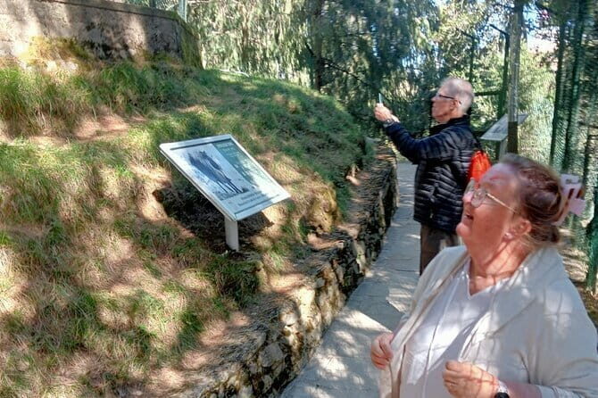 The Hill Stations of North India & Golden Temple Tour - The Experience: A Deep Dive into the Itinerary