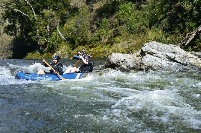 The Hobbit Barrel Run Rafting Tour on the Pelorus River - Key Points