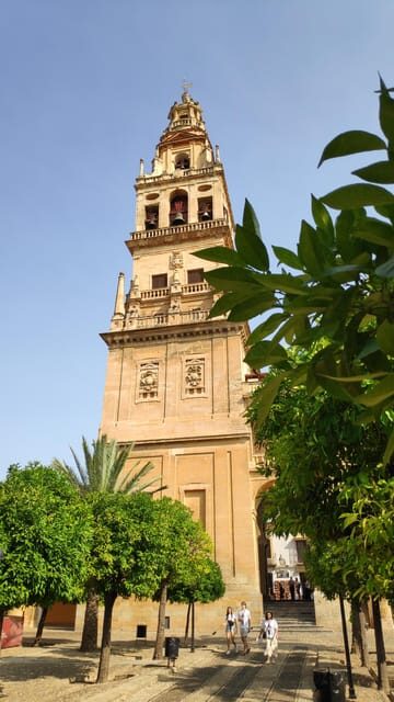 The jewel of Cordoba: Mosque-Cathedral Guided Tour - Final Takeaway