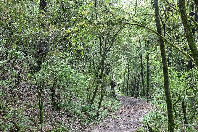 The Joy of Rafting in Trishuli River - Day Tour - Who Is This Tour Best For?