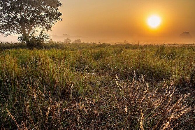 The Jungle Book Trip (The Sundorbon Forest of Bangladesh) - A Well-Structured Adventure in the Sundarbans