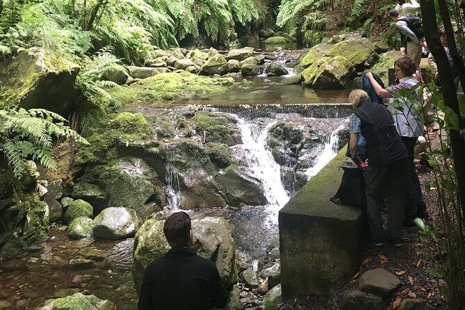 The King's Levada - Levada do Rei - Introduction: Why This Hike Might Be Your Madeira Highlight
