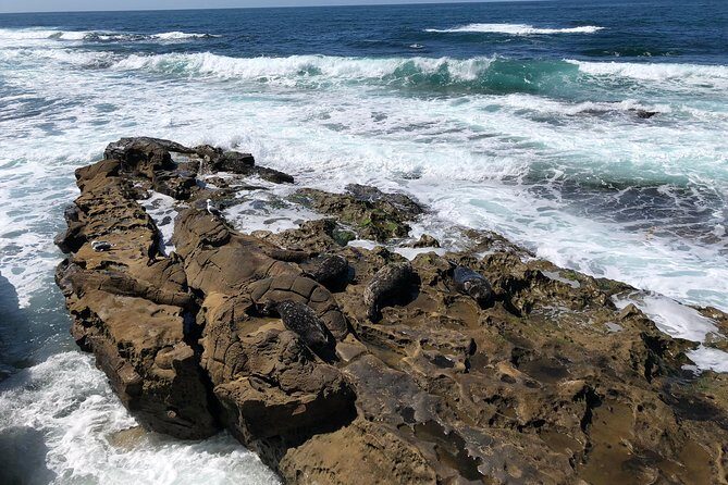 The La Jolla Tour - Additional Considerations