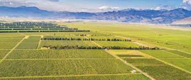 The largest winery in Montenegro: private tour & transport - Guided Tour and Insights