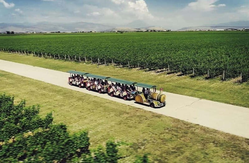 The largest winery in Montenegro: private tour & transport - Authenticity and Atmosphere