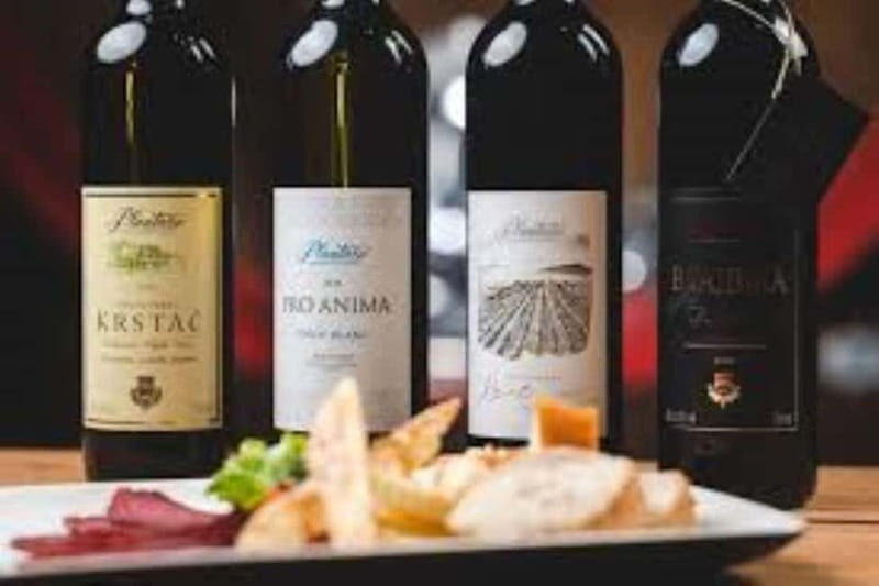 The largest winery in Montenegro: private tour & transport - Summary of Guest Experiences